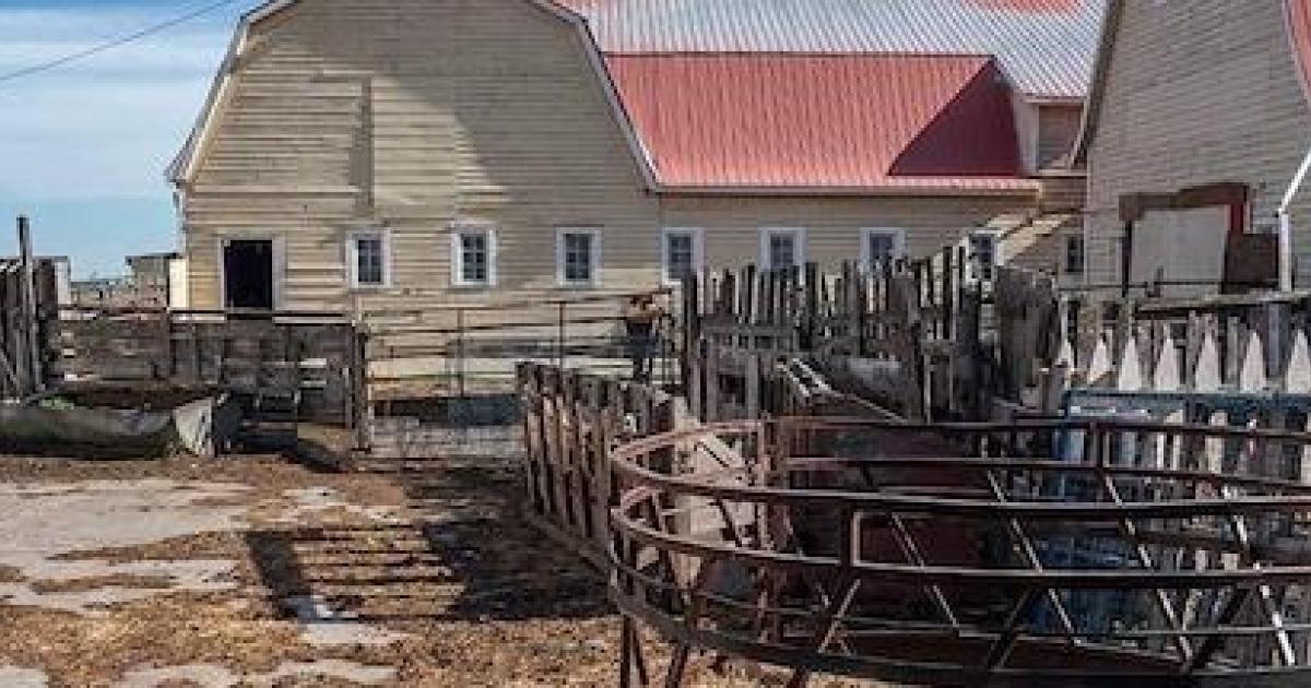 The Bocock/de Vos families were recently awarded Alberta's Century Farm ...